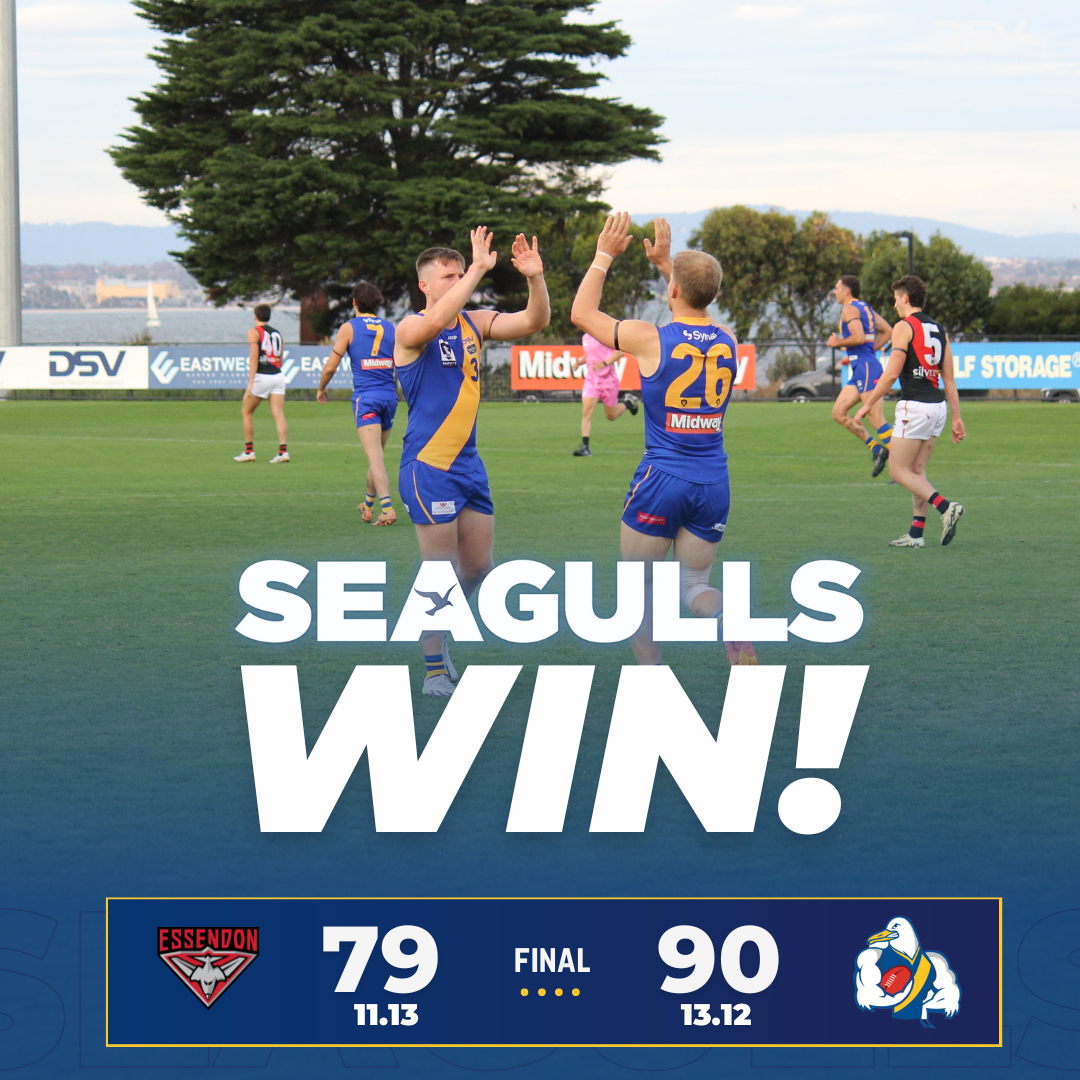 VFL Round 7 Match Report - Williamstown Football Club