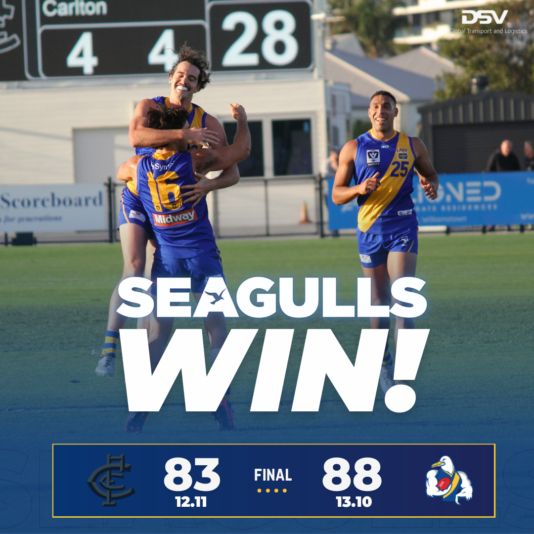 VFL Round 8 Match Report - Williamstown Football Club