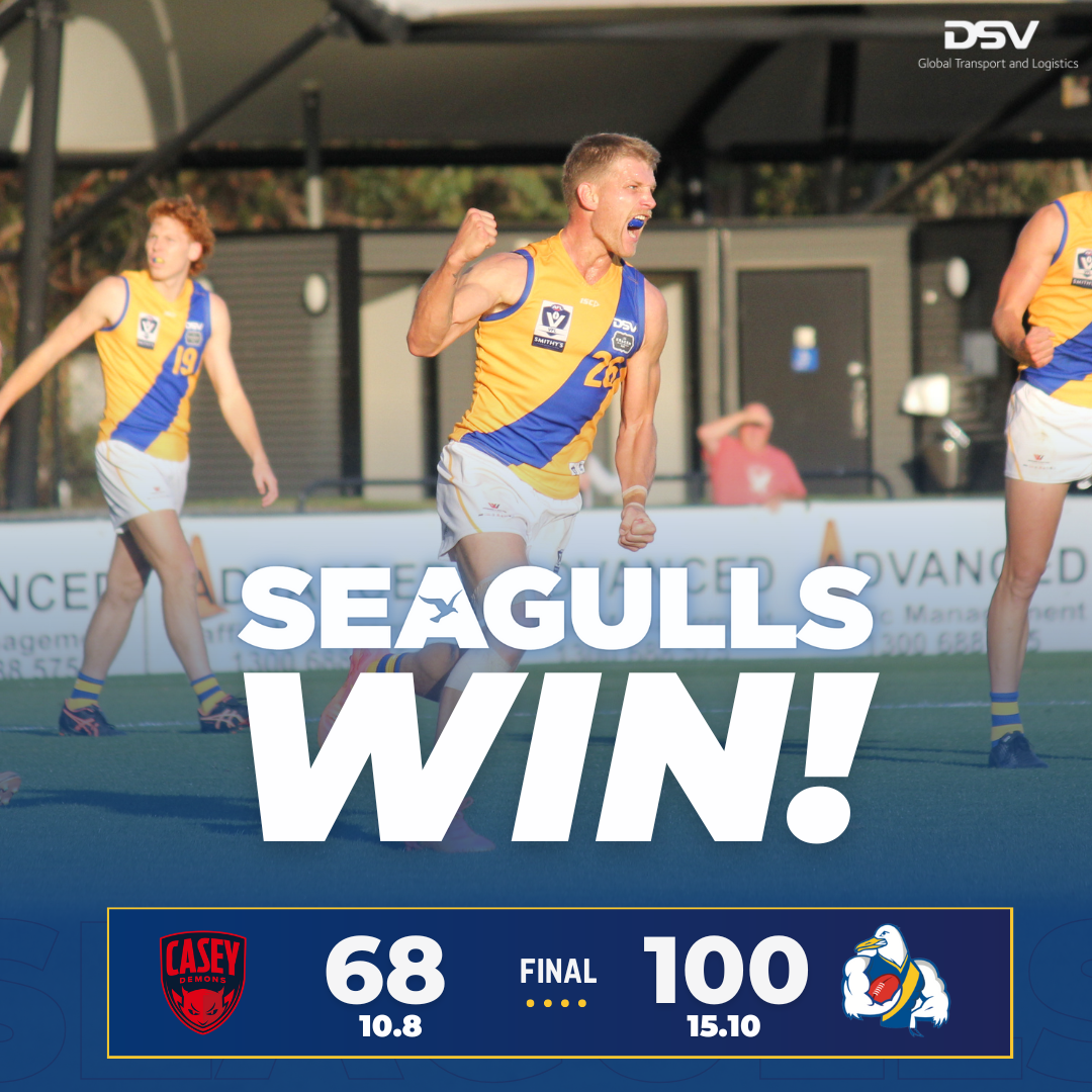 VFL Round 6 Match Report - Williamstown Football Club