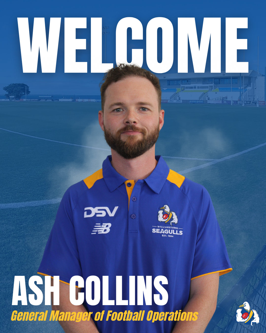 Ash Collins Appointed as Williamstown’s General Manager of Football ...