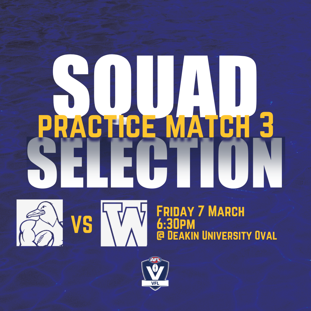 Final Practice Match Sees Return of Seagulls Trio - Williamstown ...
