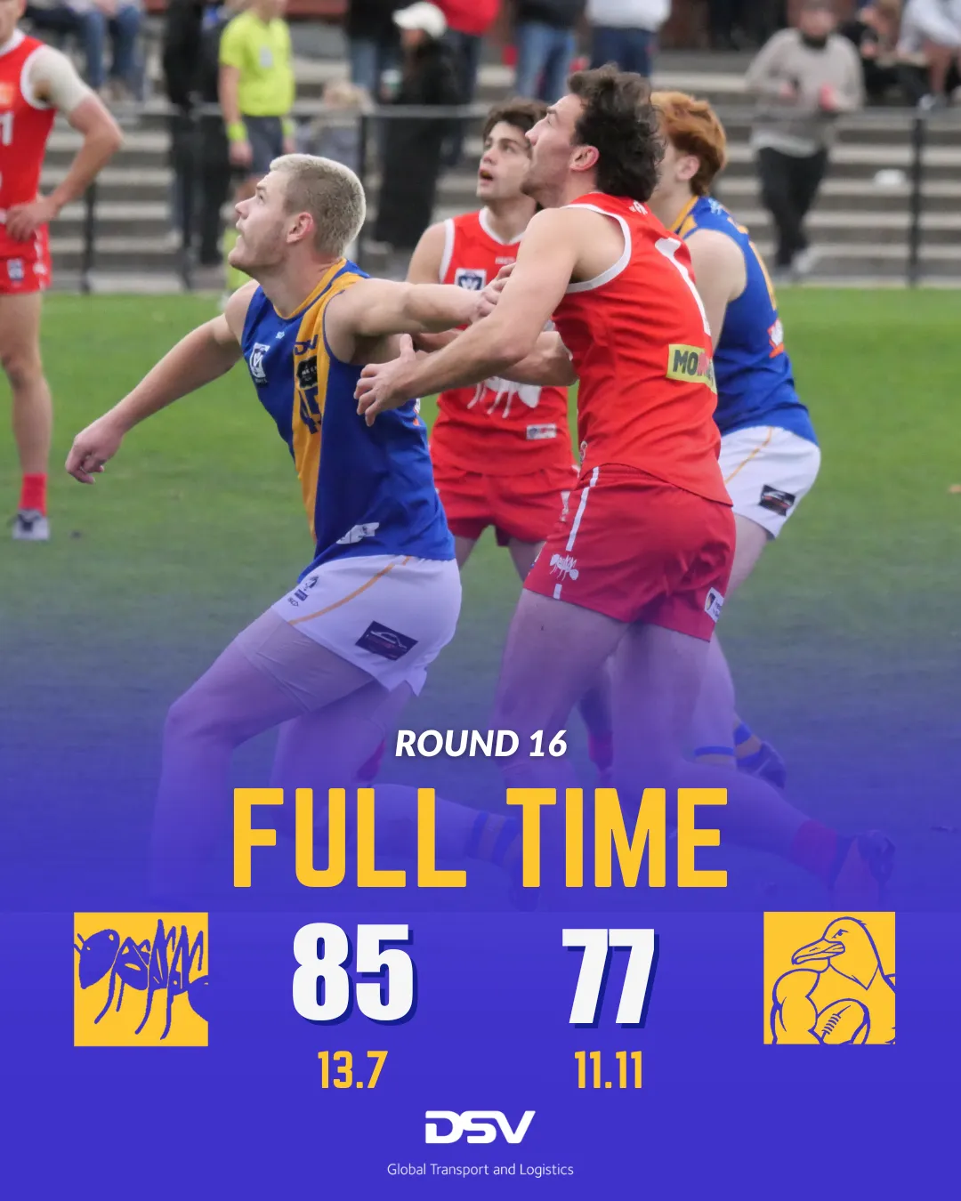 Seagulls stunned in final-term turnaround - Williamstown Football Club