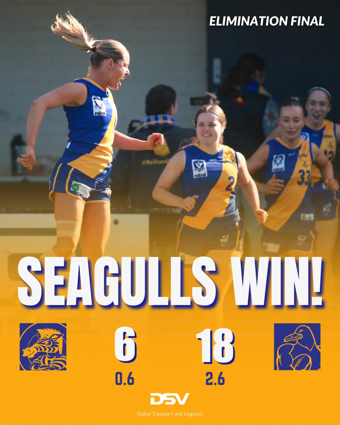 Seagulls survive Zebras in Elimination Final - Williamstown Football Club