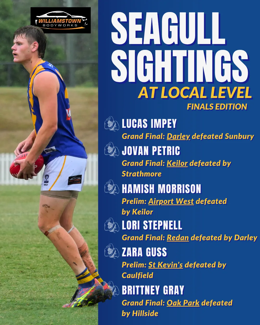 Seagull Sightings at Local Level – Finals Edition - Williamstown ...