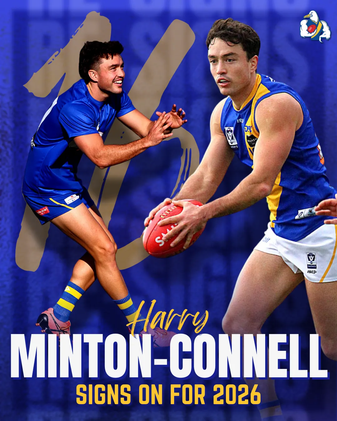 Minton-Connell stays - Williamstown Football Club