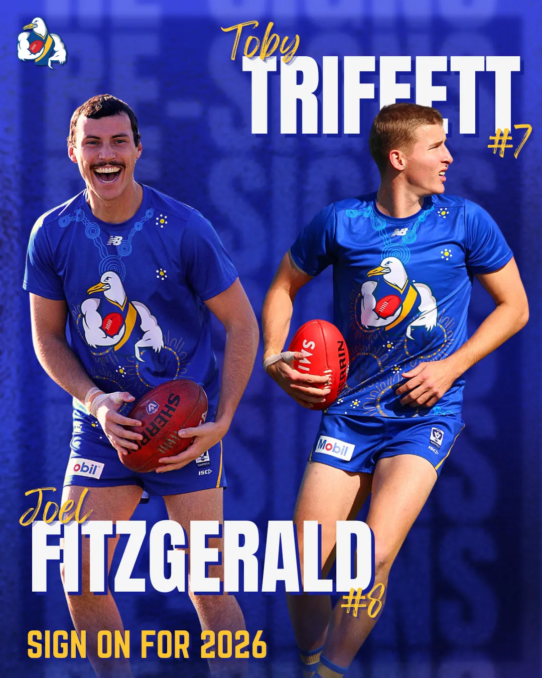 Two Seagulls set to soar again - Williamstown Football Club