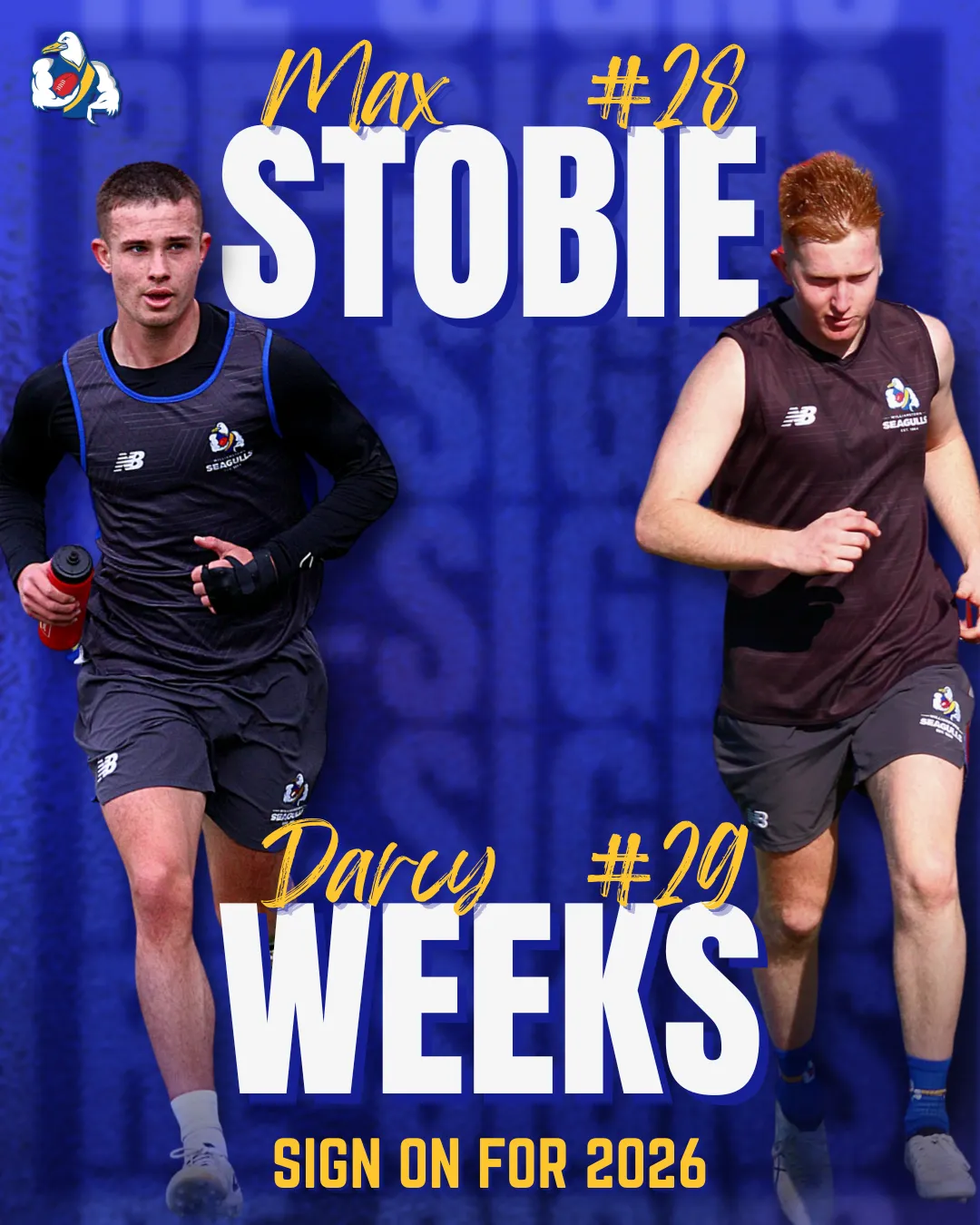 Stobie and Weeks locked in - Williamstown Football Club