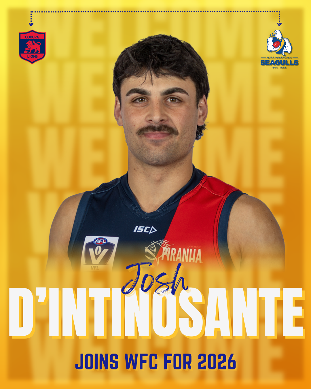 JD set to light up the bay in blue and gold - Williamstown Football Club